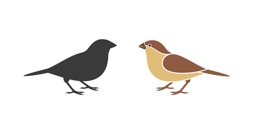 Sparrow Royalty Free Vector Image - VectorStock