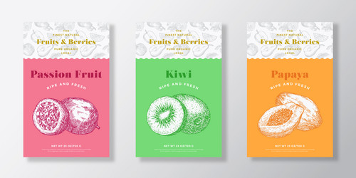 Fresh local fruits label templates set abstract Vector Image