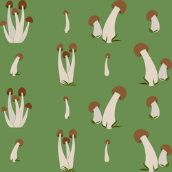 Mycelium Vector Images (over 1,000)