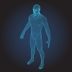 3d wire frame human body full face Royalty Free Vector Image