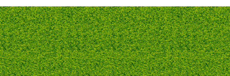 Realistic classic football field with two-tone Vector Image