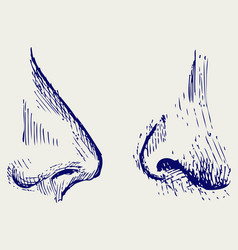 Human anatomy spine Royalty Free Vector Image - VectorStock