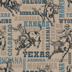Bull rodeo seamless pattern colorful Royalty Free Vector