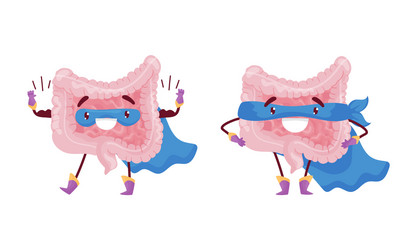 Cartoon intestine or large gut character Vector Image