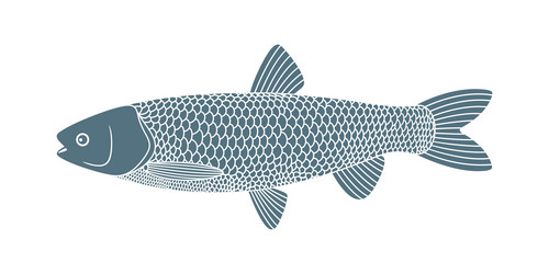 Carp Vector Images (over 9,200)