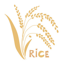 Rice Plant Vector Images (over 15,000)
