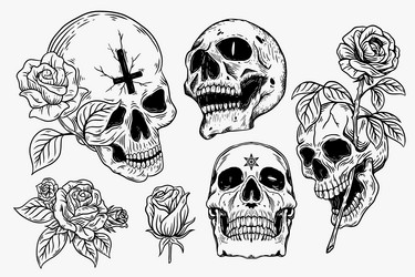 Skull With Rose Flower Black Outline Human Vector Image