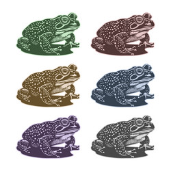 Toad Cartoon Vector Images (over 6,300)