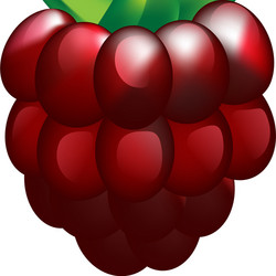 Raspberry Vector Images (over 27,000)