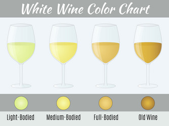 Red wine color chart Royalty Free Vector Image