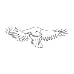 Falcon Doodle Vector Images (over 260)