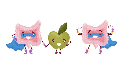 Cartoon intestine or large gut character Vector Image