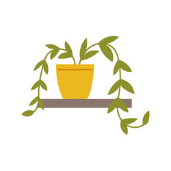 Plant Shelf Vector Images (over 6,500)