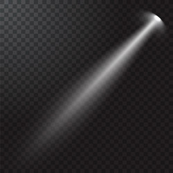 Realistic beam lights on transparent background Vector Image