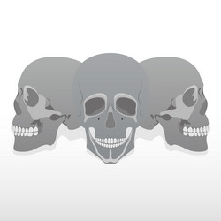 Screaming skulls Royalty Free Vector Image - VectorStock