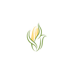 Sweet corn icon logo design Royalty Free Vector Image