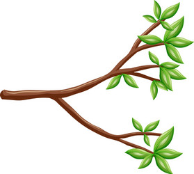 Tree branch with green leaves Royalty Free Vector Image