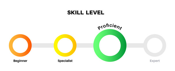 Skill level diagram Royalty Free Vector Image - VectorStock