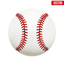 Baseball leather ball Royalty Free Vector Image