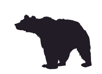 Bear Profile Silhouette Vector Images (over 150)