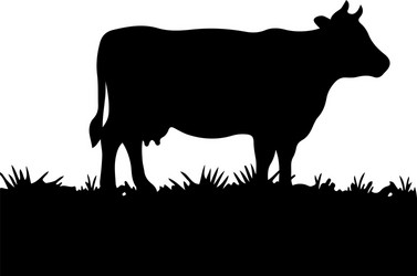 Angus cow logo Royalty Free Vector Image - VectorStock