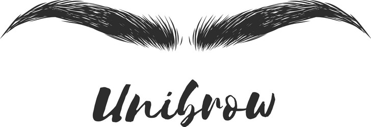 Unibrow Vector Images (4)