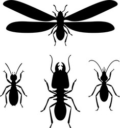 Termites Vector Images (over 2,900)