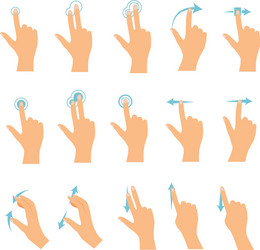 Hand gestures human palms and wrist showing Vector Image