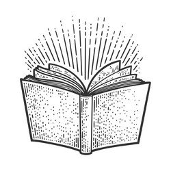 Book and light rays sketch Royalty Free Vector Image