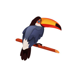 Toco toucan icon is a flat cartoon style exotic Vector Image
