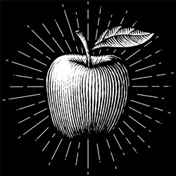 Vintage Engraved Apple Royalty Free Vector Image