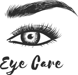 Beauty lash and brow studio logo typography Vector Image