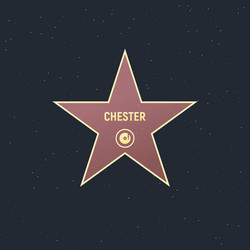 Hollywood sign Royalty Free Vector Image - VectorStock