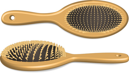 Hair brush side view and front Royalty Free Vector Image