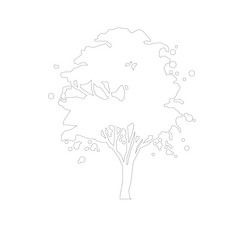 Tree line drawing side view graphics Royalty Free Vector