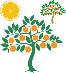 Free Orange Tree Vector Images (over 1,600)