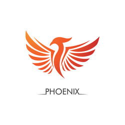 Phoenix falcon logo Royalty Free Vector Image - VectorStock