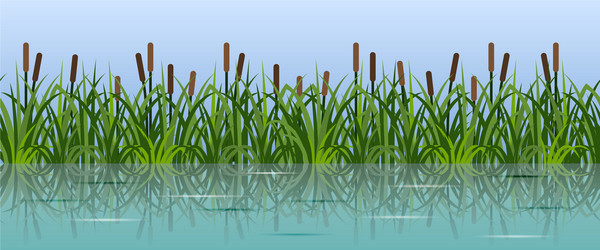 Pond Reeds Vector Images (over 1,400)