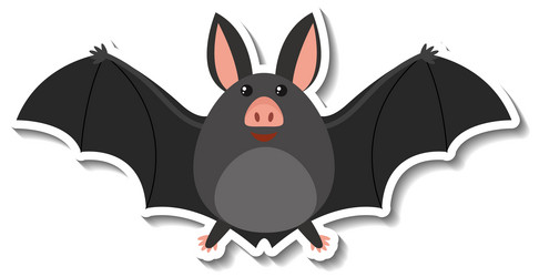 Fat Cartoon Bats Vector Images (97)