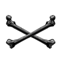 Bone Vector Images (over 190,000)