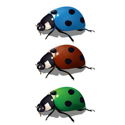 Ladybird Vector Images (over 11,000)