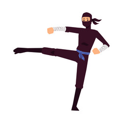 Ninja Kick