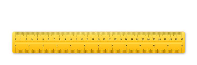 Realistic various metal and plastic rulers with Vector Image