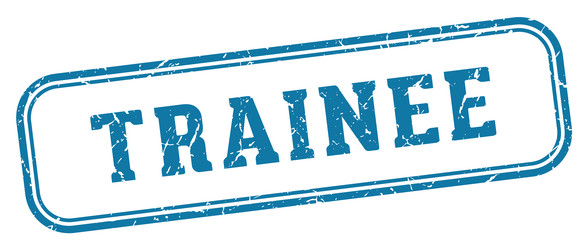 Traineeship stamp traineeship rectangular stamp Vector Image