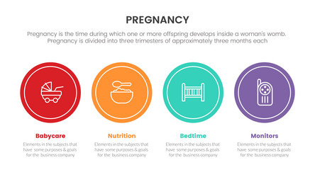 Circle timeline step for pregnant or pregnancy Vector Image