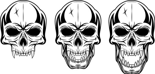 Anatomical skulls set Royalty Free Vector Image