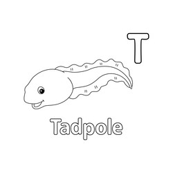 Tadpole animal isolated coloring page for kids Vector Image
