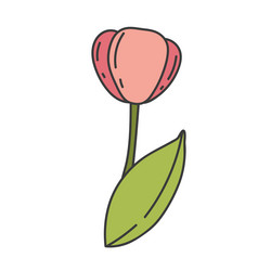Cartoon cute tulip Royalty Free Vector Image - VectorStock
