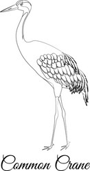 Crane Outline Vector Images (over 11,000)