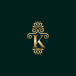 Letter Fancy K Vector Images (68)